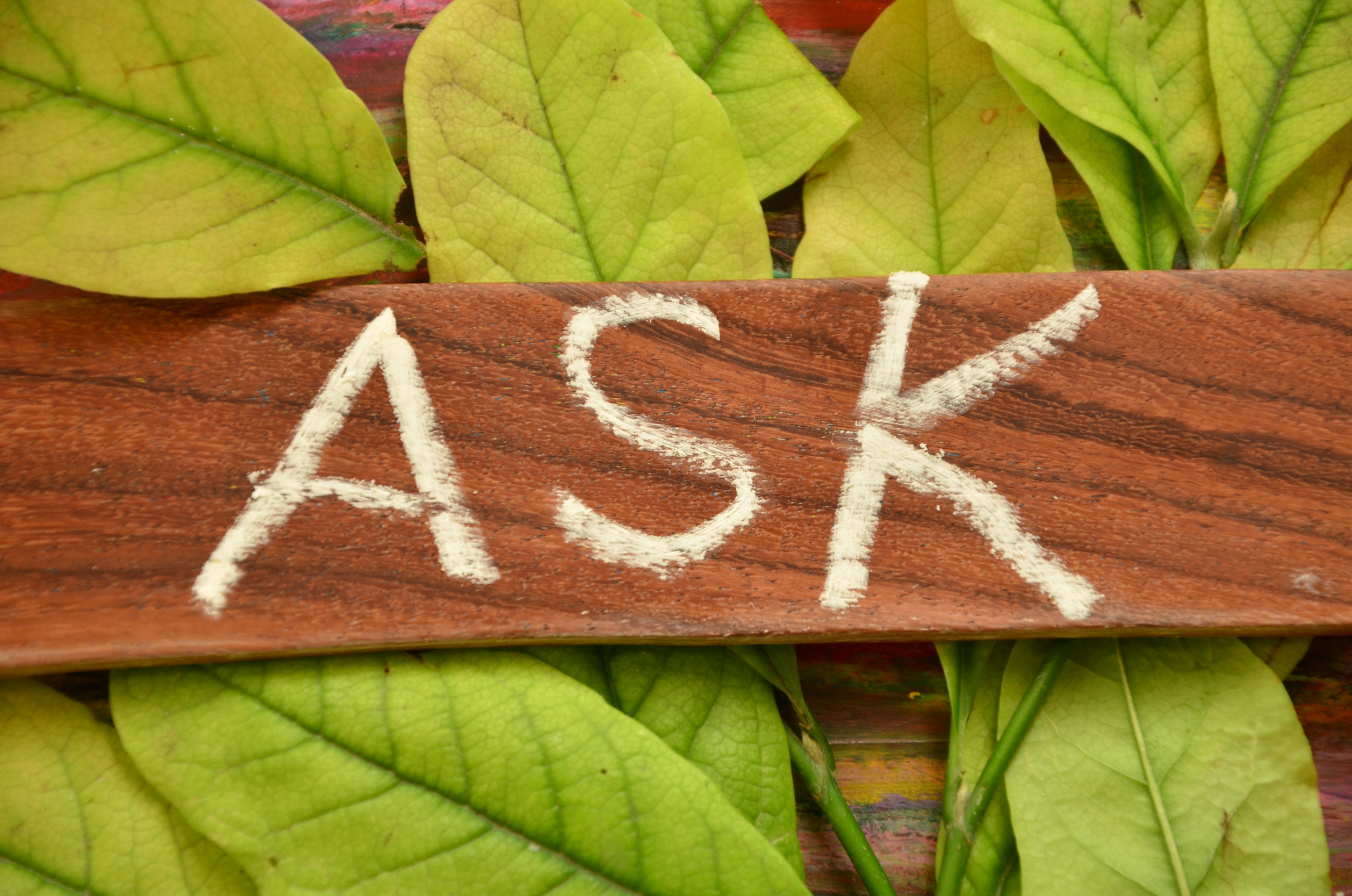 Do You HAVE to ASK? - Marcy Heim